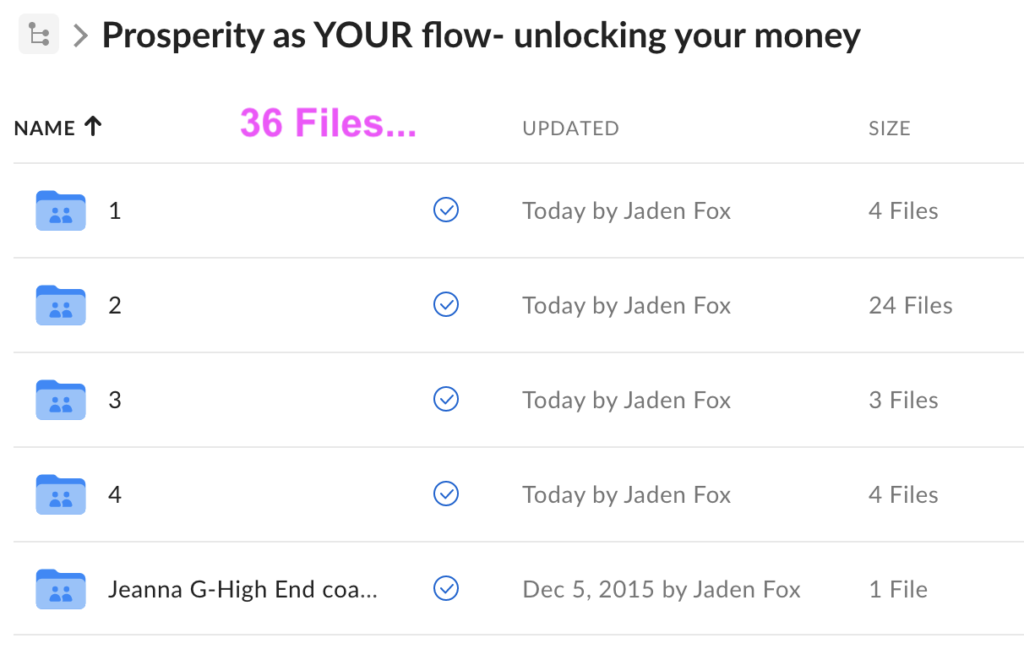 Prosperity as Your Flow - Tools for Conscious Entrepreneurs - Jaden Fox